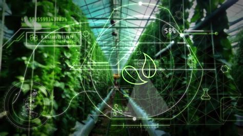 Greenhouse Crop Smart Agricultural Technology Monitoring System Stock Footage Video Of System
