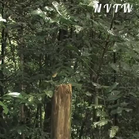 Video Sakthi Sangeetha Posted On Linkedin