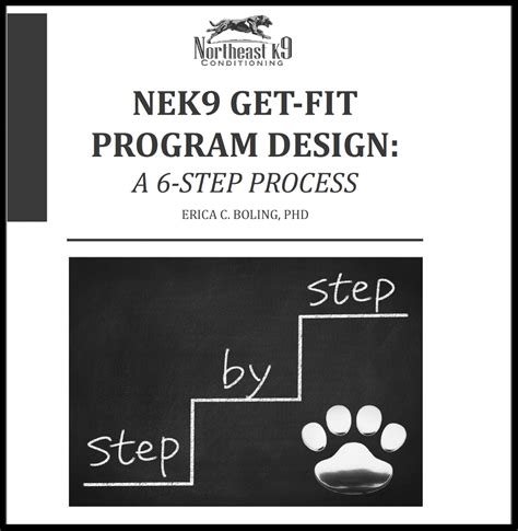 Step Process To Program Design