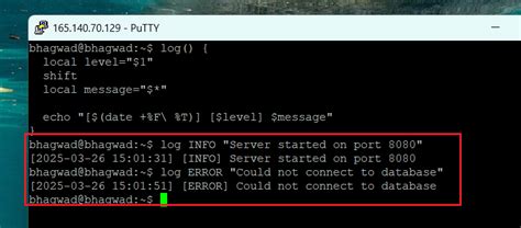 How To Use Bash Function Arguments