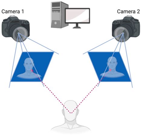Structured Light Scanning Utilizes A Projector To Project A Pattern Of