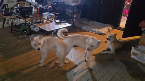 토요일 밤~밤을 잊은 그대에게 Youtube