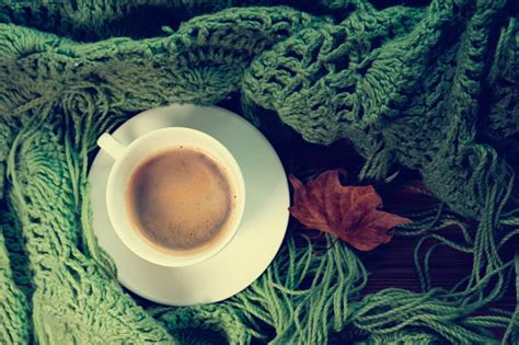 뜨거운 커피와 따뜻한 녹색 스카프의 컵의 최고 볼 수 있습니다 아 늑 함과 따뜻함의 개념입니다 인 스타 그램 필터 0명에 대한 스톡 사진 및 기타 이미지 Istock