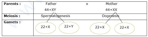 Notes Class Biology Chapter Inheritance And Variations Maharashtra Board Digital Education