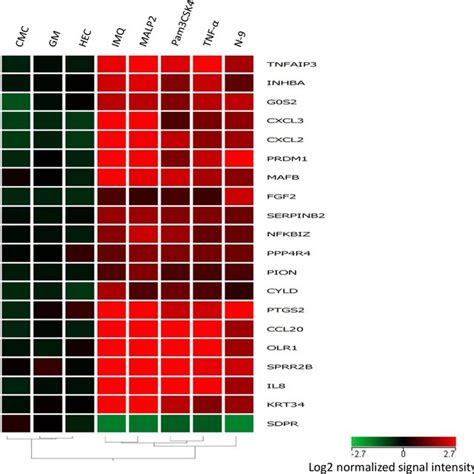 hierarchical clustering of the 20 discriminatory genes was performed