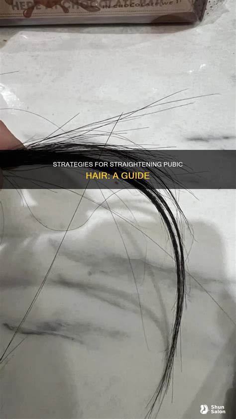 Strategies For Straightening Pubic Hair A Guide Shunsalon