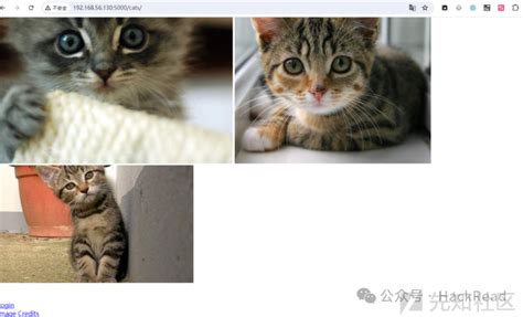Nginx Deny限制路径绕过 Csdn博客