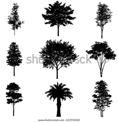 Vector Set Tree Silhouettes Isolated On Stock Vector Royalty Free Shutterstock