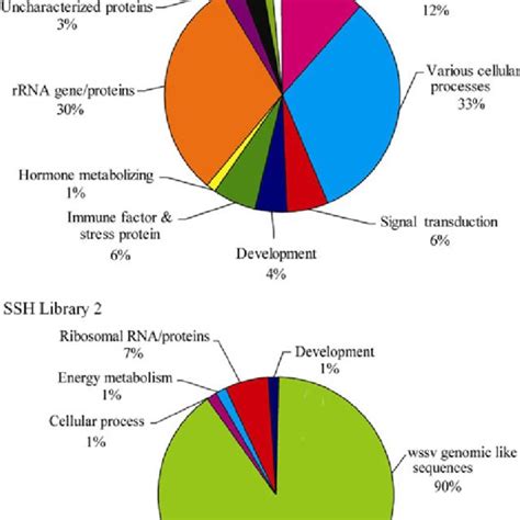 Functional Distribution Of Transcripts Isolated By Suppression Download Scientific Diagram