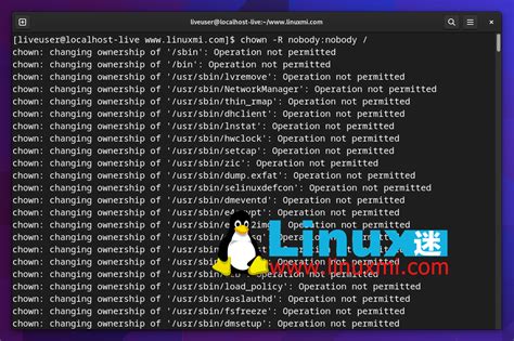 永远不要在你的 Linux 系统上运行这些命令 Linux迷