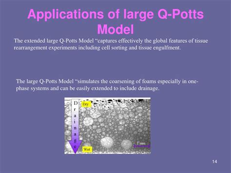 Ppt The Potts Model Partition Function Powerpoint Presentation Free