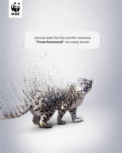 ЖИЛ БҮРИЙН 10 ДУГААР САРЫН 23 НЫ ӨДРИЙГ “ДЭЛХИЙН ЦООХОР ИРВЭС ХАМГААЛАХ ӨДӨР” БОЛГОН ТЭМДЭГЛЭЖ