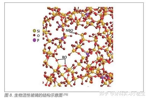 牙齿是否能再生？牙釉质真的能修复吗？ 知乎