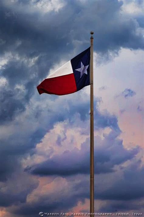 Texas State Flag Lone Star State