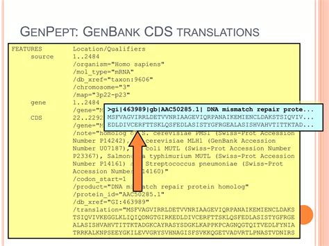 Introduction To Biological Databases Ppt