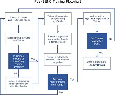 fast senc training flowchart before starting the analysis of cmr data