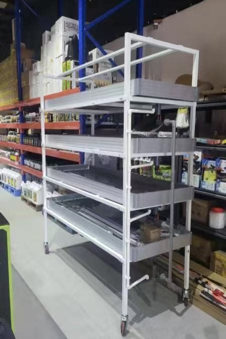 Ebb And Flow Hydroponic System In Commercial Greenhouse In Malaysia Lyine