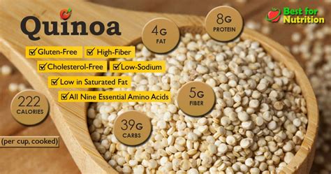 12 Proven Health Benefits Of Quinoa