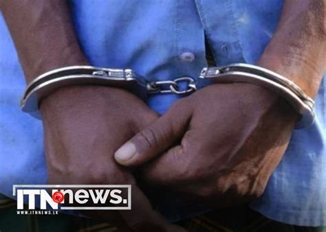 ගංජා ගස් 7750ක් වගා කළ පුද්ගලයෙකු අත්අඩංගුවට Itn News දේශීය පුවත්