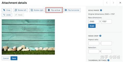 如何在 Wordpress 中修复上下颠倒或翻转的图像 知乎