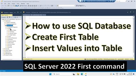 Creating Table In Microsoft Sql Server 2022 And Inserting Values Running First Sql Query Youtube