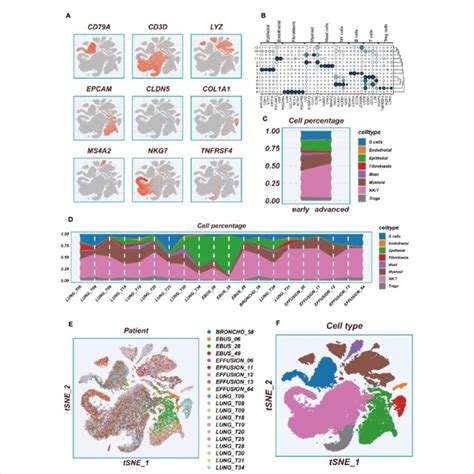 Flow Chart Of Single Cell Analysis A Multiple Tsne Plots Showing The Download Scientific Flow Chart Of Single Cell Analysis A Multiple Tsne Plots Showing The Download Scientific