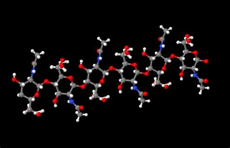 La Chitina Ed Il Chitosano Strutture In Jsmol