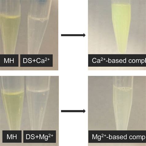 Macroscopic Observation Of Metal Ion Mediated Complex Coacervation