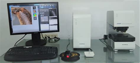 Microscopio Confocal Lamarx