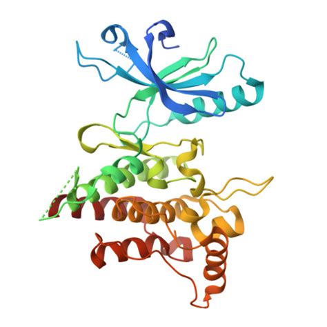 Rcsb Pdb 7feh Crystal Structure Of Human Ddr1 In Complex With Ch5541127