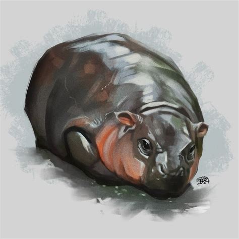 The Cute Hippo That Took The Internet By Storm Heres My Take On Moo