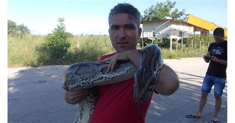 Колекционерът на влечуги Николай Петков пред България Днес Не