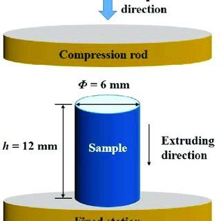 Schematic Diagram To Show The Setup Of Compression Test Download Scientific Diagram