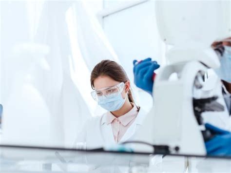 15 Years Of Read Across Under Eu Reach Lessons From Echas Testing