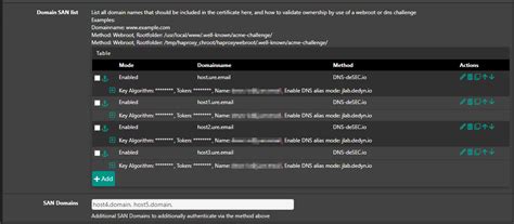 Bug Handling Dns Challenge Alias Mode With Multiple Domains Netgate