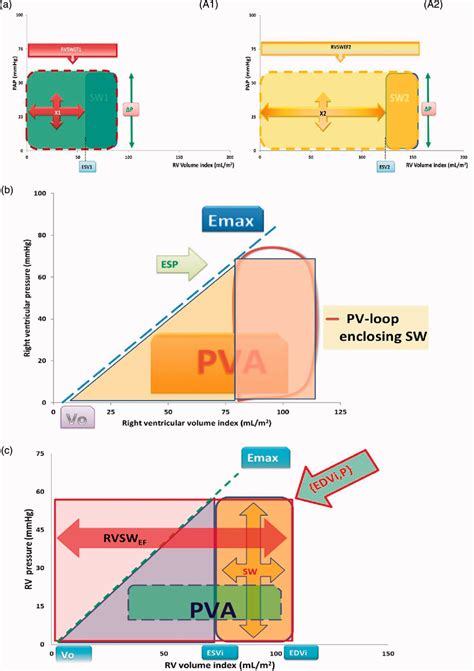 A Schematic Representation Of Pressurevolume PV Loops For The Download Scientific Diagram