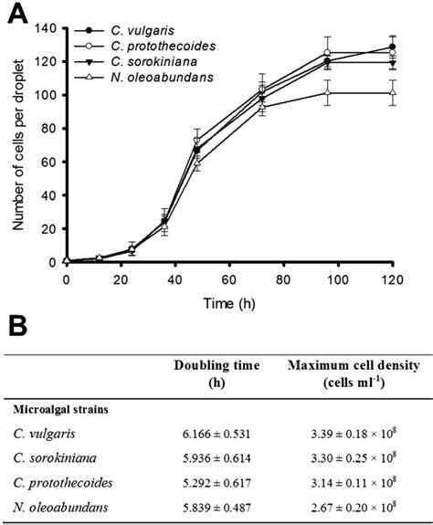 Comparison Of The Cell Growth Of Different Microalgal Strains In The