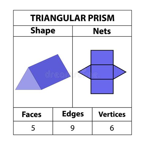 3d rectangular prism net