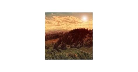 Bobby Gene Brasher Obituary 2025 Columbiana Al Bolton Funeral