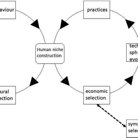 The Basic Co Evolutionary Framework Download Scientific Diagram