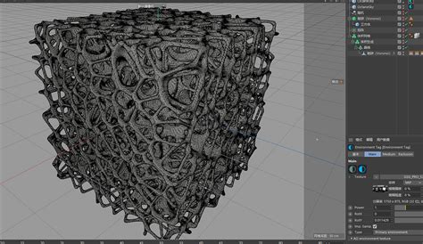 Bone Sponge Structure 3d Model 20 C4d Obj Fbx Free3d