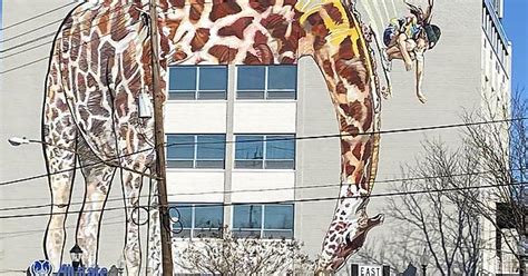 Cool Mural With The Imgur Mascot In Kensington Md Album On Imgur