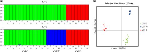 Population Structure And Principal Coordinate Analysis Pcoa Of 30