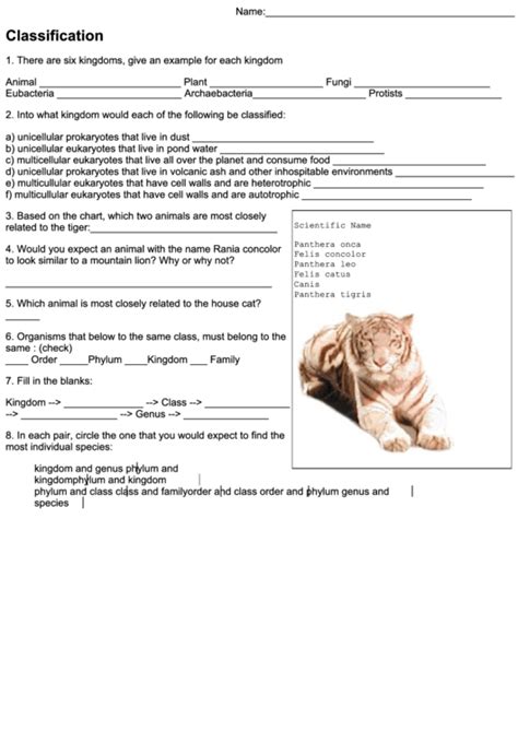 Classification Biology Worksheet Printable Pdf Download