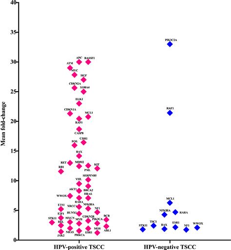 Figure 3 From Comprehensive Transcriptome Analysis Reveals The Distinct