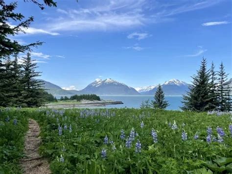 Best Hikes And Trails In Chilkat State Park Alltrails