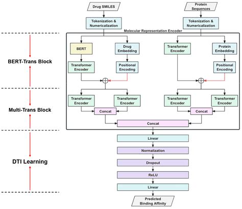 Mredta A Bert And Transformer‐based Molecular Representation Encoder