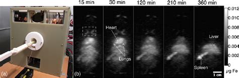 Table 11 From Development And Characterization Of A Magnetic Particle Imaging Scanner