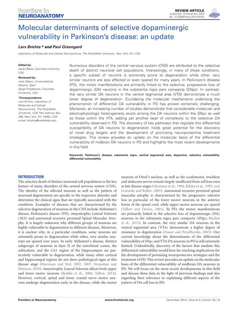 Pdf Molecular Determinants Of Selective Dopaminergic Vulnerability In