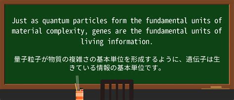 【英単語】fundamental Unitを徹底解説！意味、使い方、例文、読み方